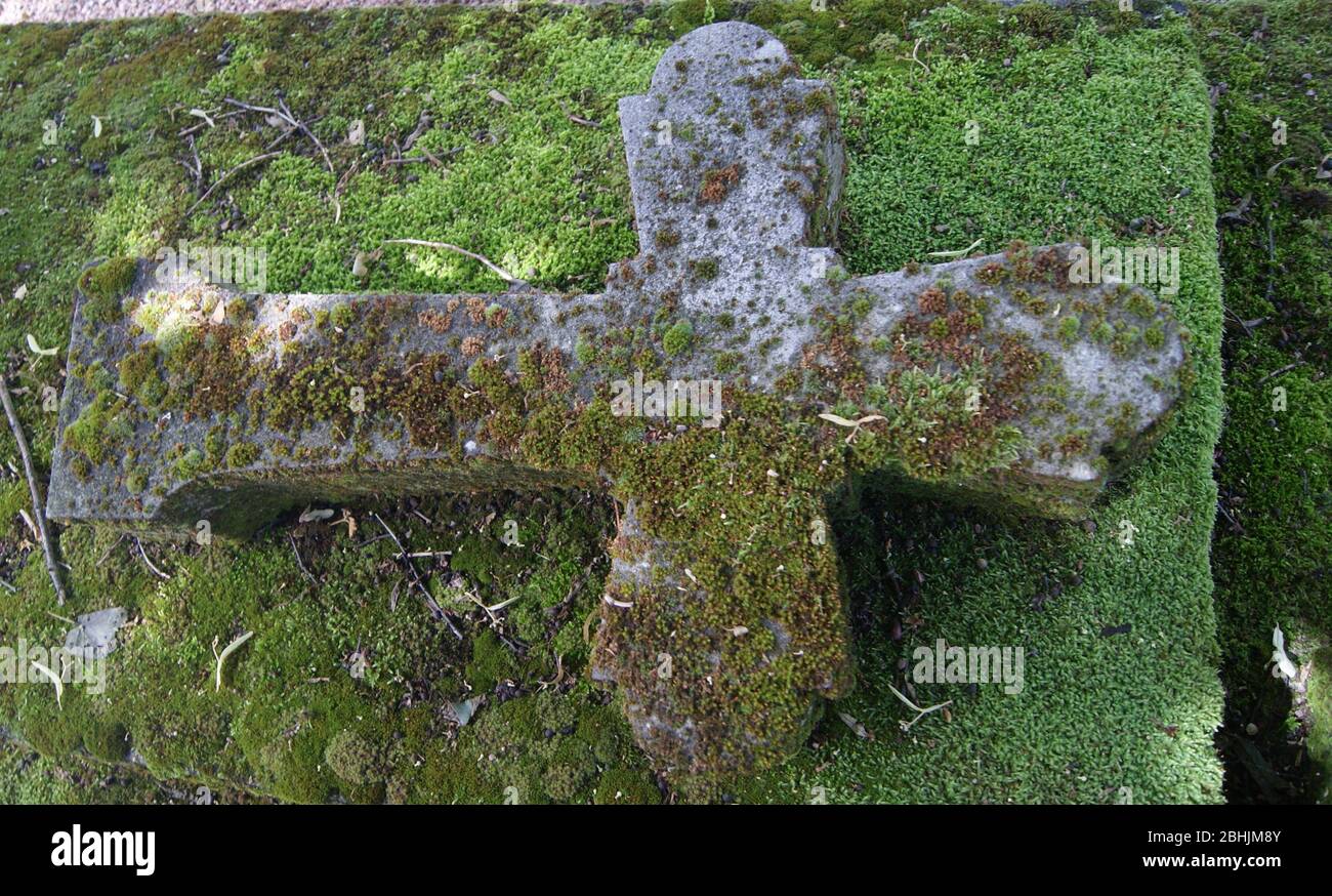 Une croix ancienne recouverte de mousse, France Stock Photo - Alamy