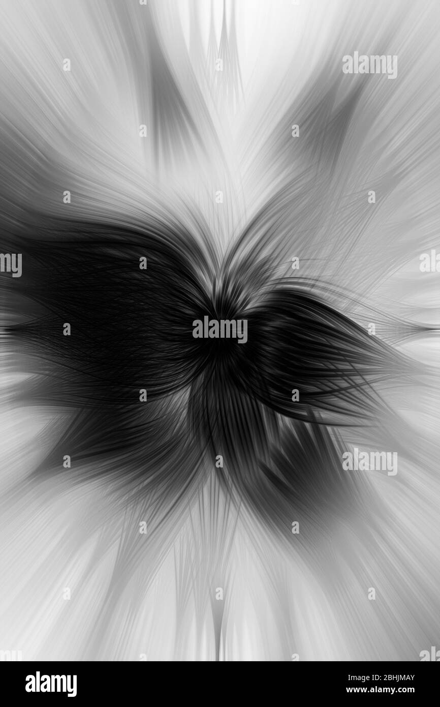 black white swirl effect, digital effect Stock Photo - Alamy