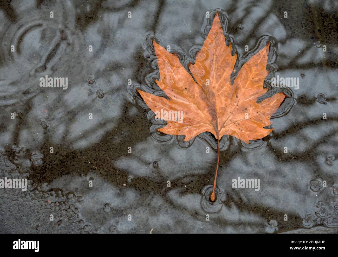 Sycamore Tree Leaves Stock Vector Images - Alamy