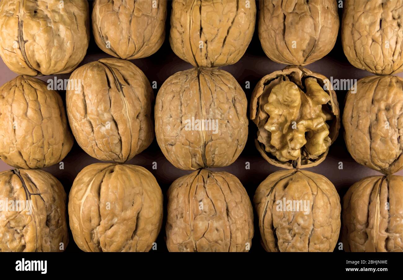 Walnuts plate Stock Vector Images - Alamy