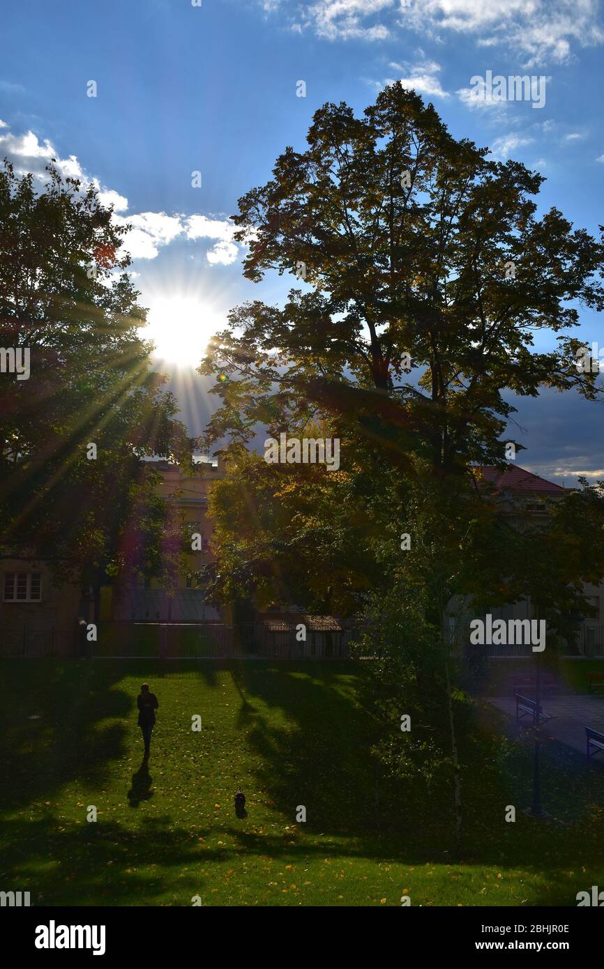 Gleaming sun rays in the blue sky illuminate the city park Stock Photo ...