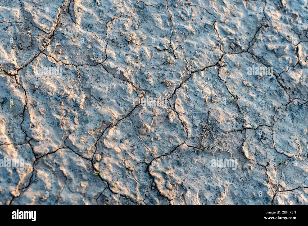 An abstract pattern inspired by the closeup of a natural landscape of ...