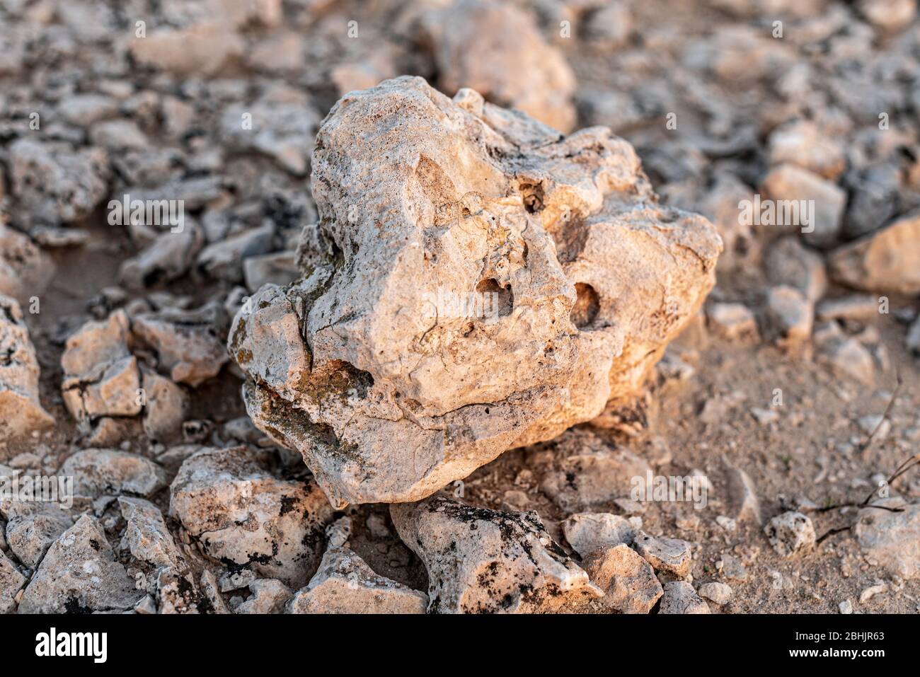 A closeup look of the detail structure and shape of a big rock set on a ...