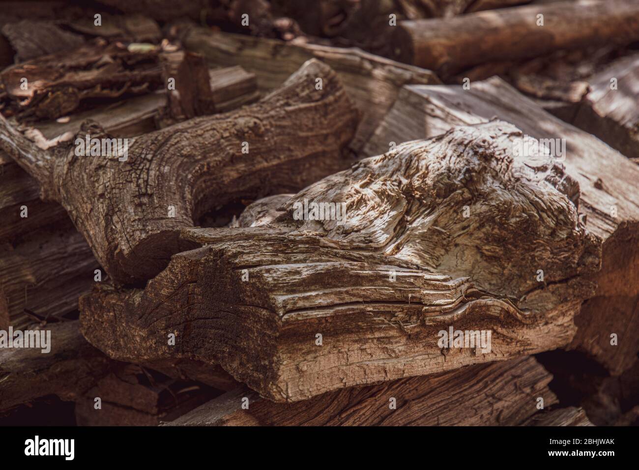 Knotted wood surface of uneven cracked woods in sunlight. Rough wooden ...