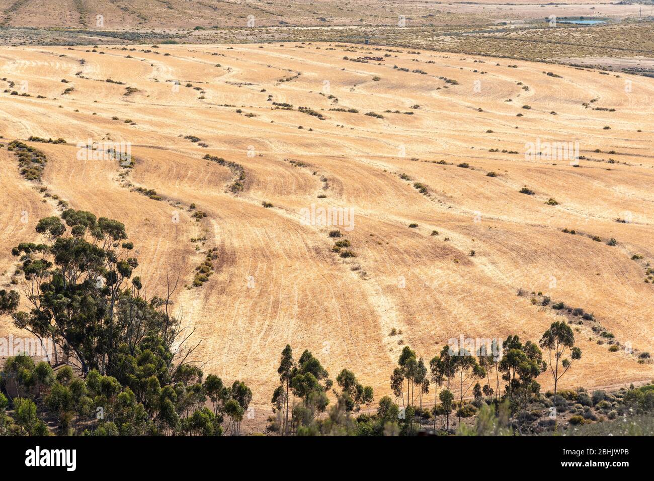 African wheat producing area hi-res stock photography and images - Alamy