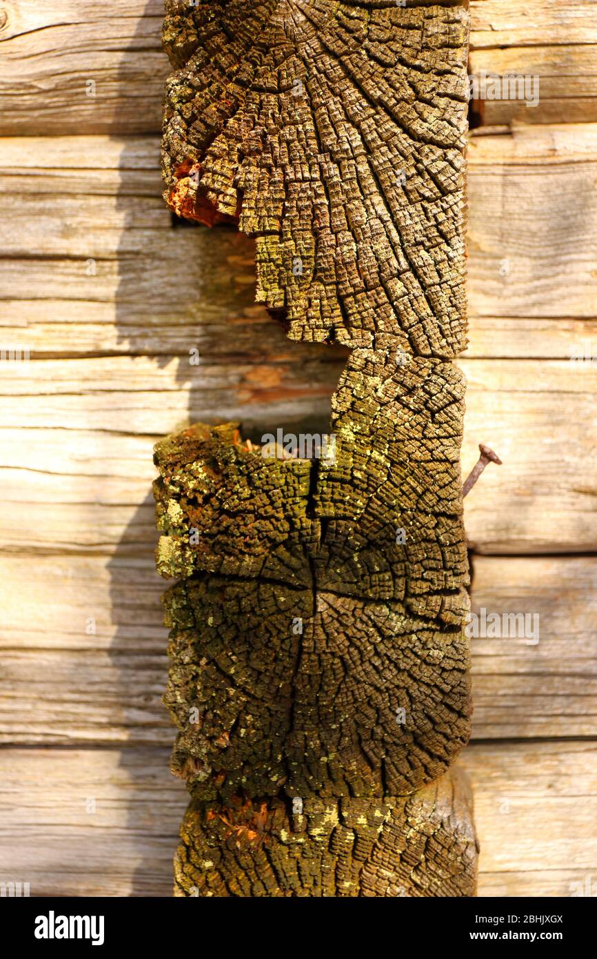 Single Wood Plank Weathered