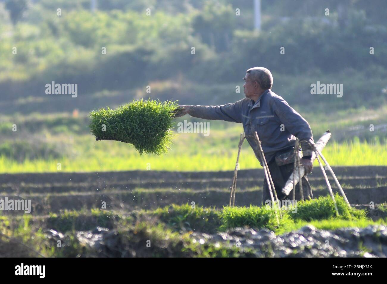 Jianxin hi-res stock photography and images - Alamy