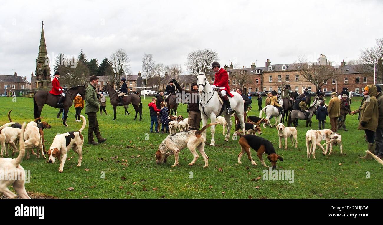 Jedforest hunt hi-res stock photography and images - Alamy