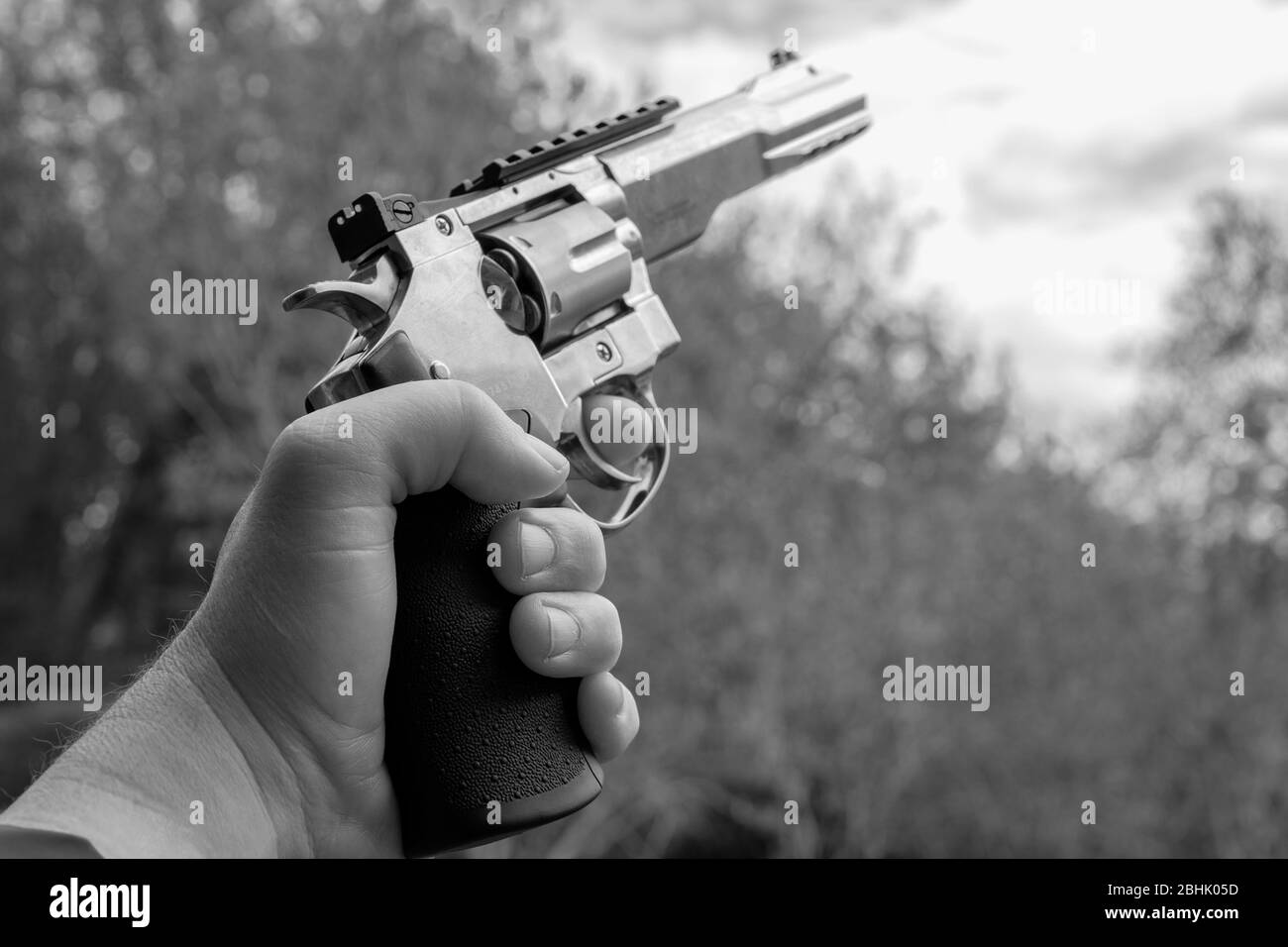 a left hand holds a big silver revolver in the air Stock Photo - Alamy