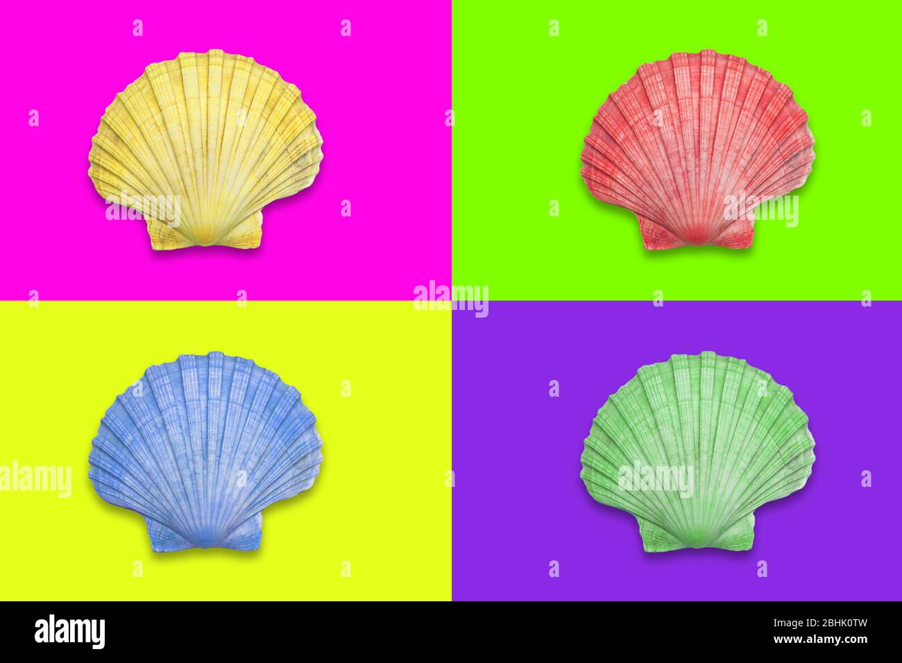 Yellow Scallop Shell Clip Art