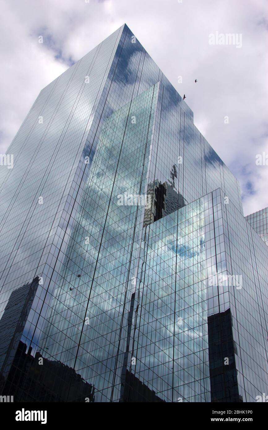 Birds flying over a skyscraper Stock Photo - Alamy