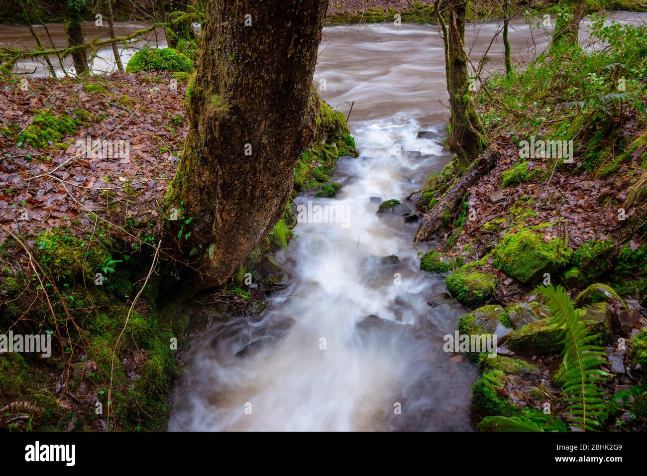 Confluence of a tributory stream and the River Neath (Afon Nedd). Fast ...