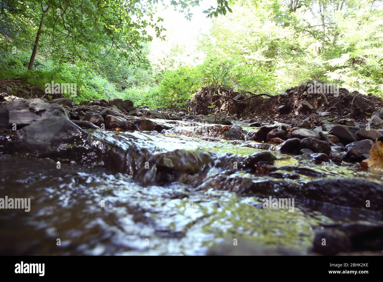 Fast shutter speeds hi-res stock photography and images - Alamy