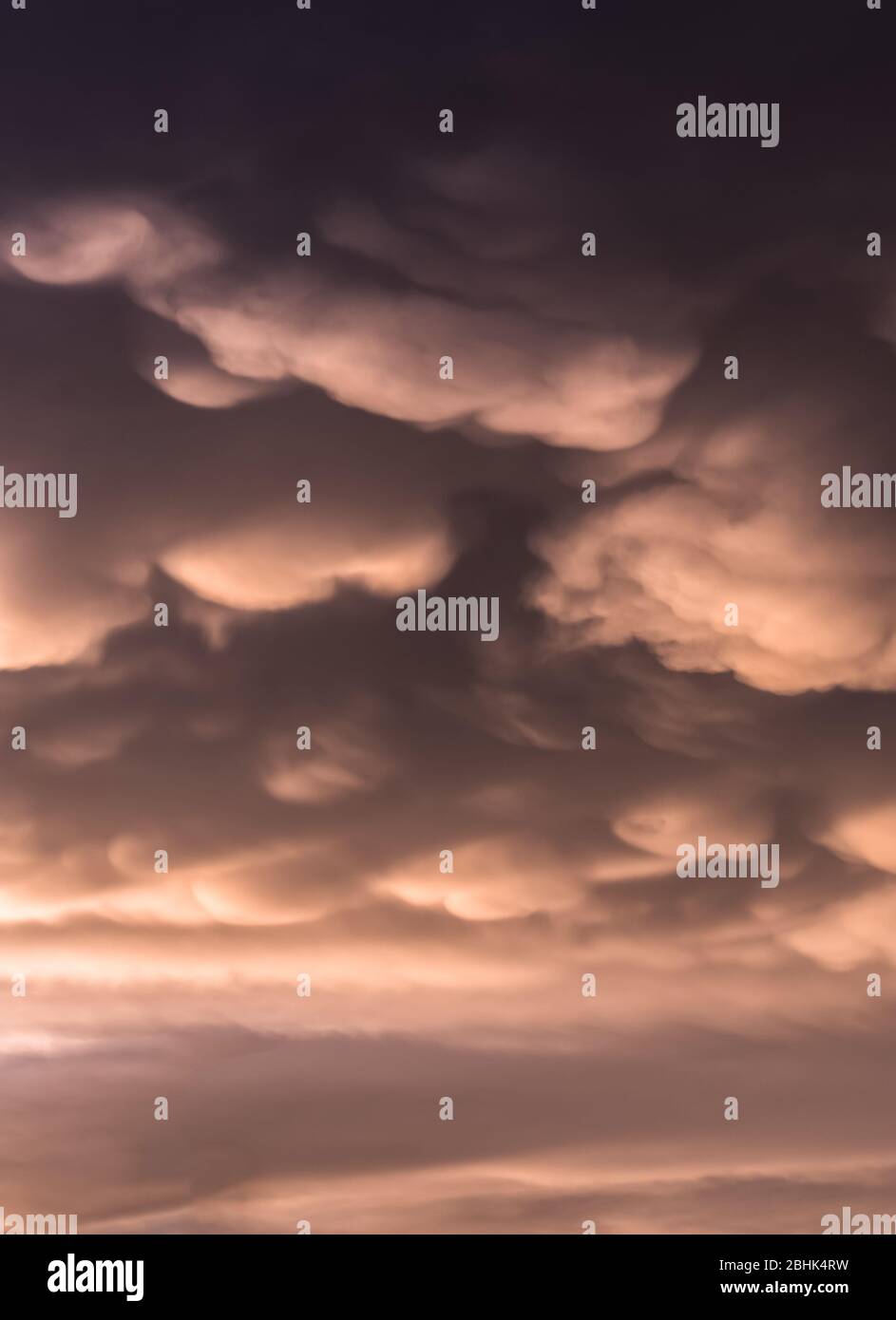 Mammoth or mastodon clouds over the sky with warm tones Stock Photo - Alamy