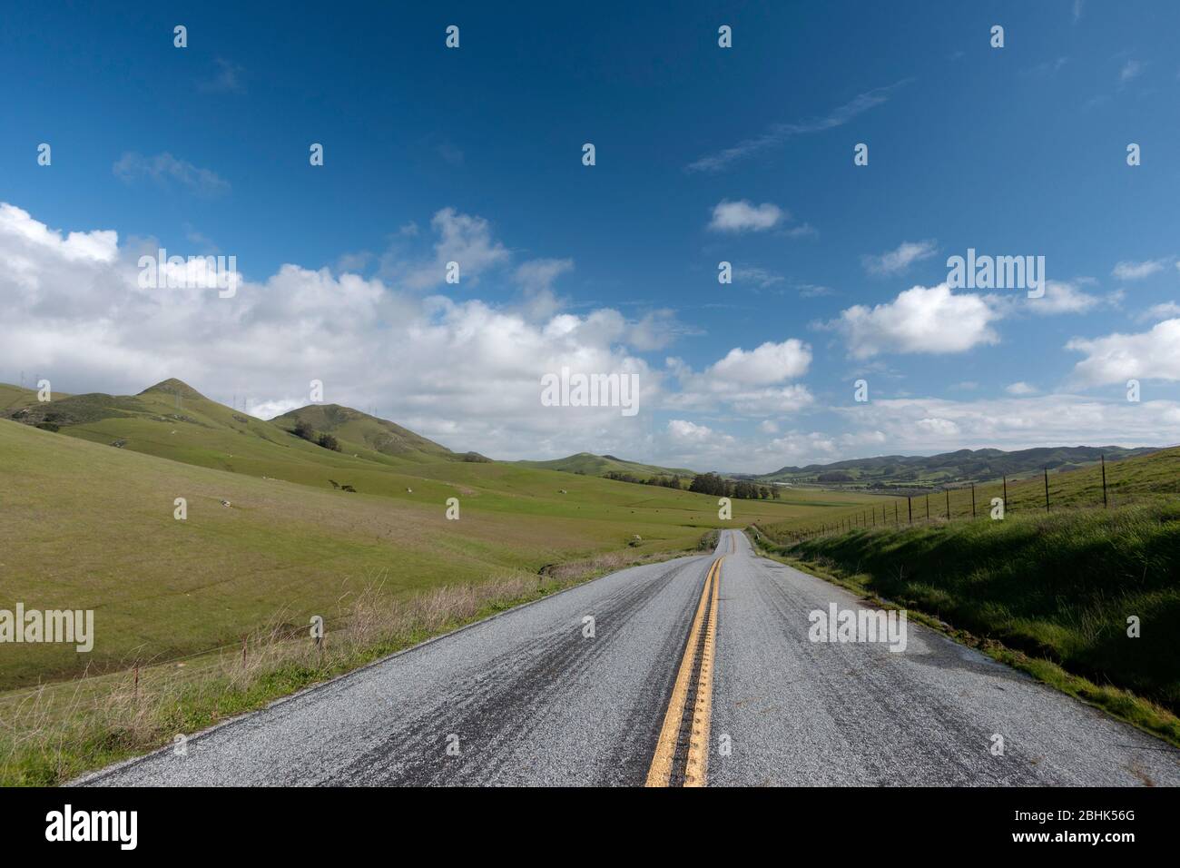 Los osos hi-res stock photography and images - Alamy