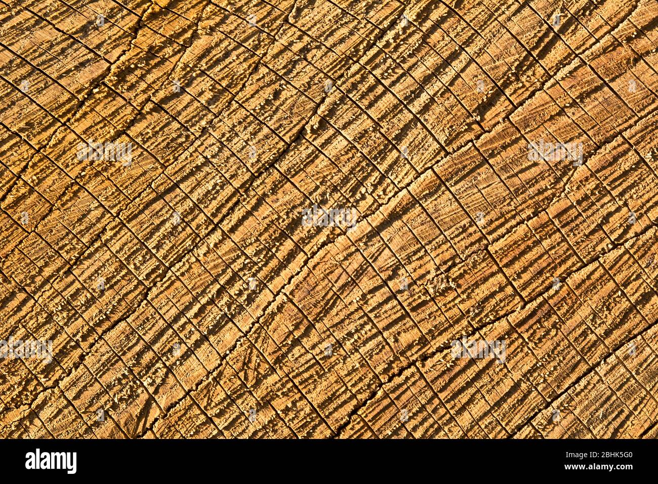 Saw kerf hi-res stock photography and images - Alamy