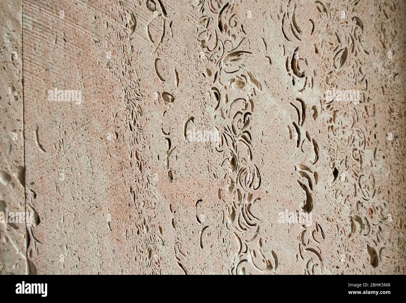 brown shell material construction closeup, abstraction, construction ...