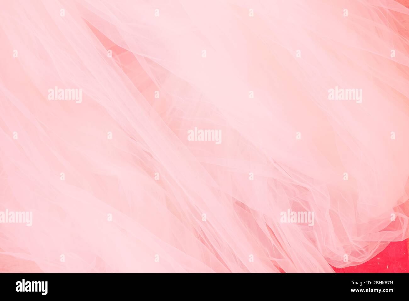 Beautiful coral white background of tulle veil Stock Photo - Alamy