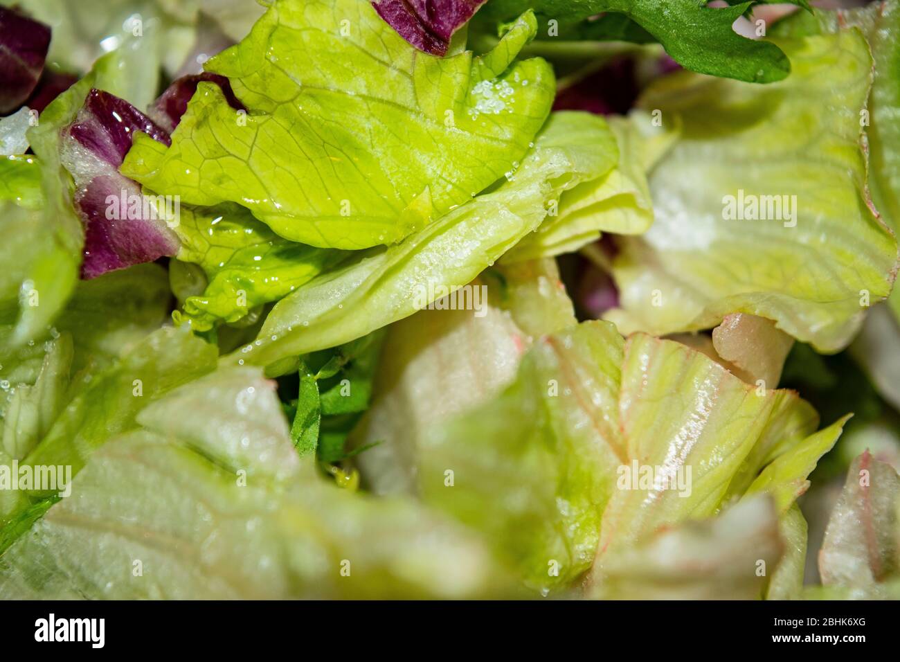 Cut leaf lettuce surface texture. Close up. Background image Stock ...