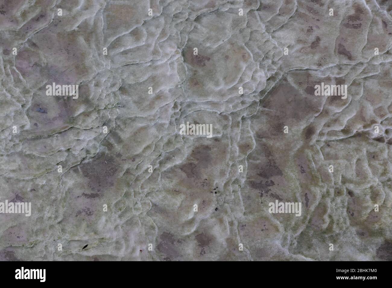 Mysterious, veined stone & mud surface covered with moss, viewed from ...
