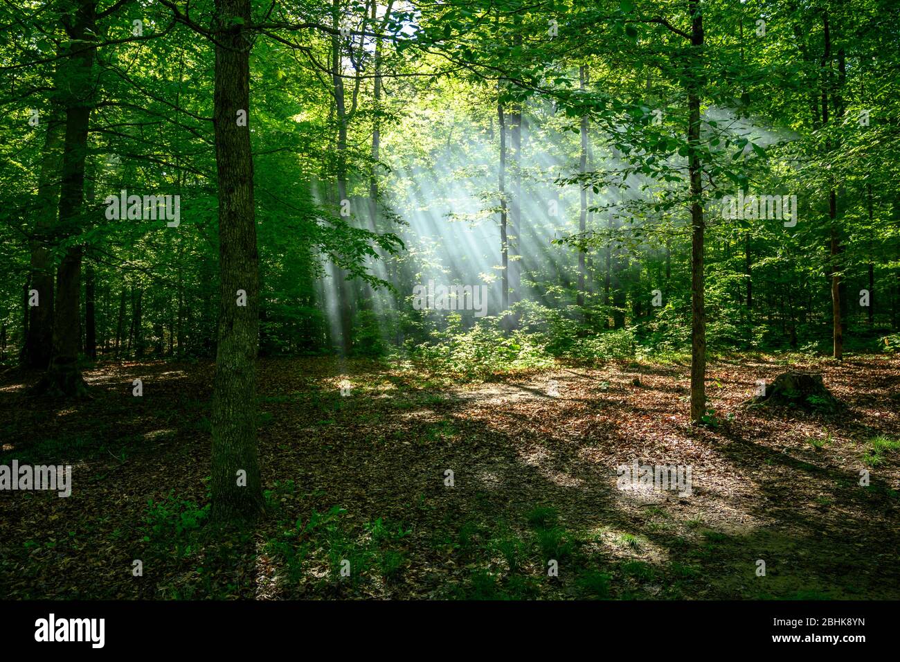 Sunlight shafts over landscape hi-res stock photography and images - Alamy