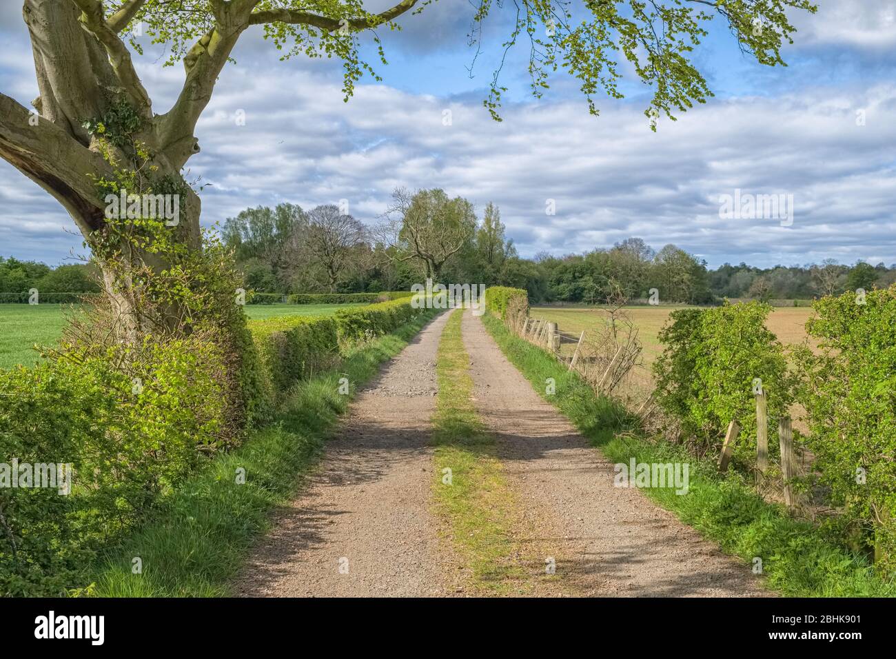 The magic of Perceton in Irvine and a beautiful bridleway or footpath ...