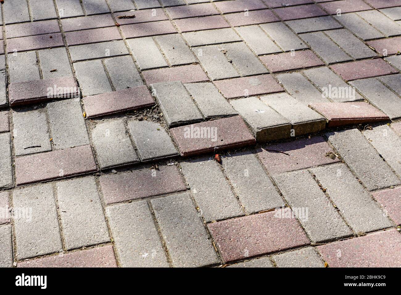 defective cobblestone pavement due to incorrectly prepared base Stock ...