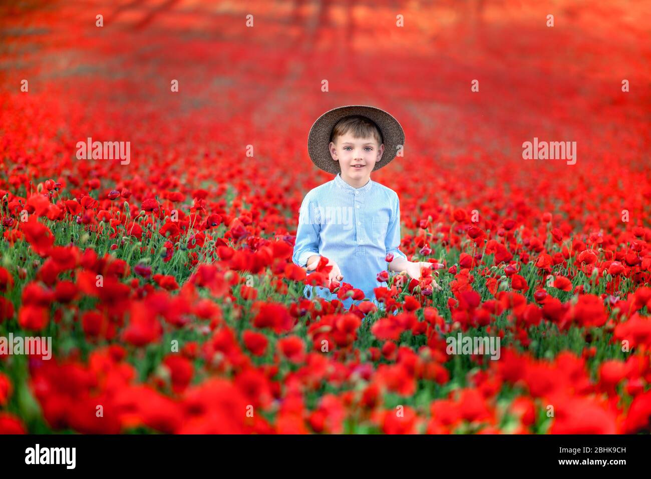 Cute child boy in poppy field. Very happy child in poppy field. Boy in ...