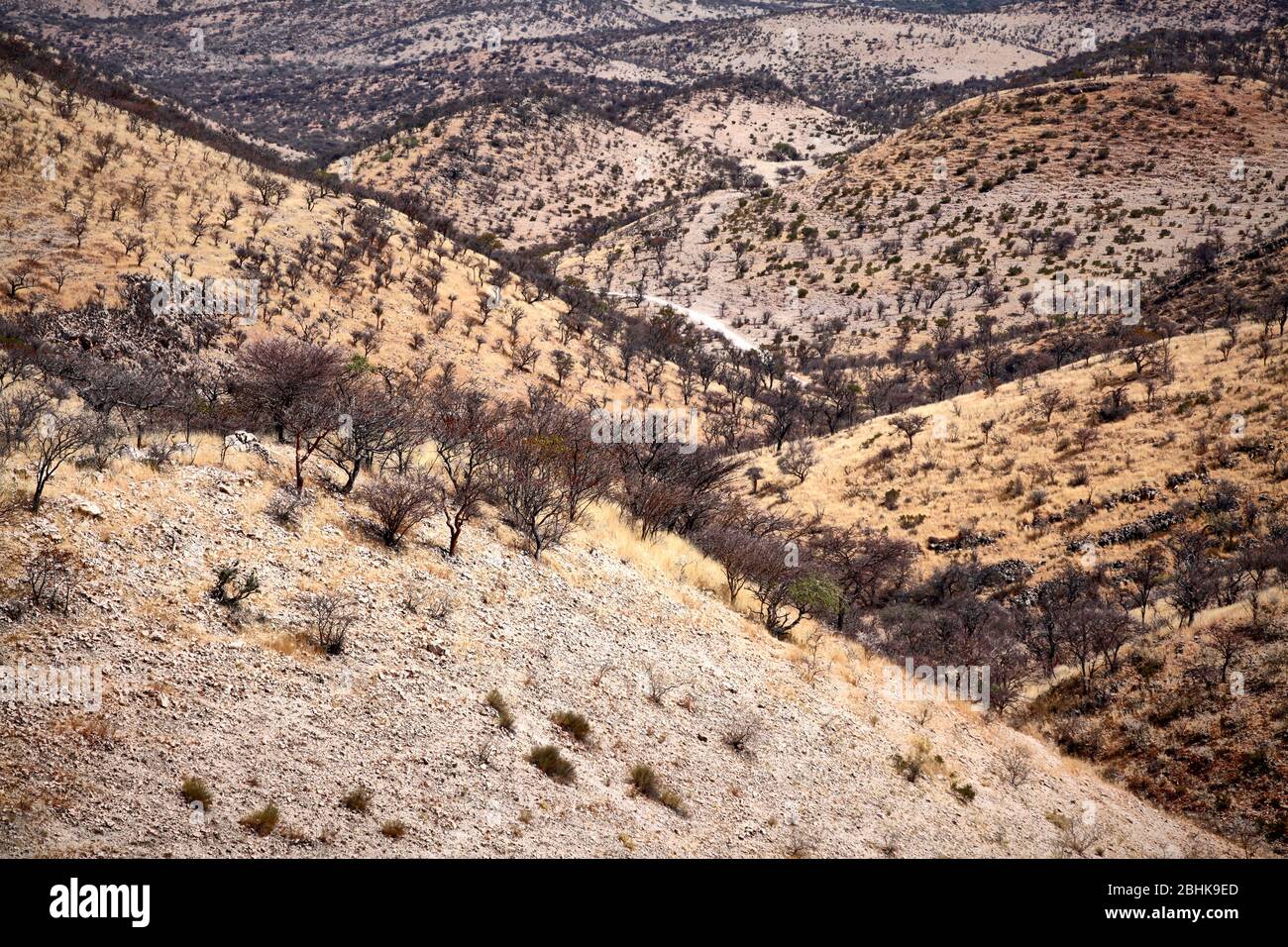 Kaokoveld hi-res stock photography and images - Alamy
