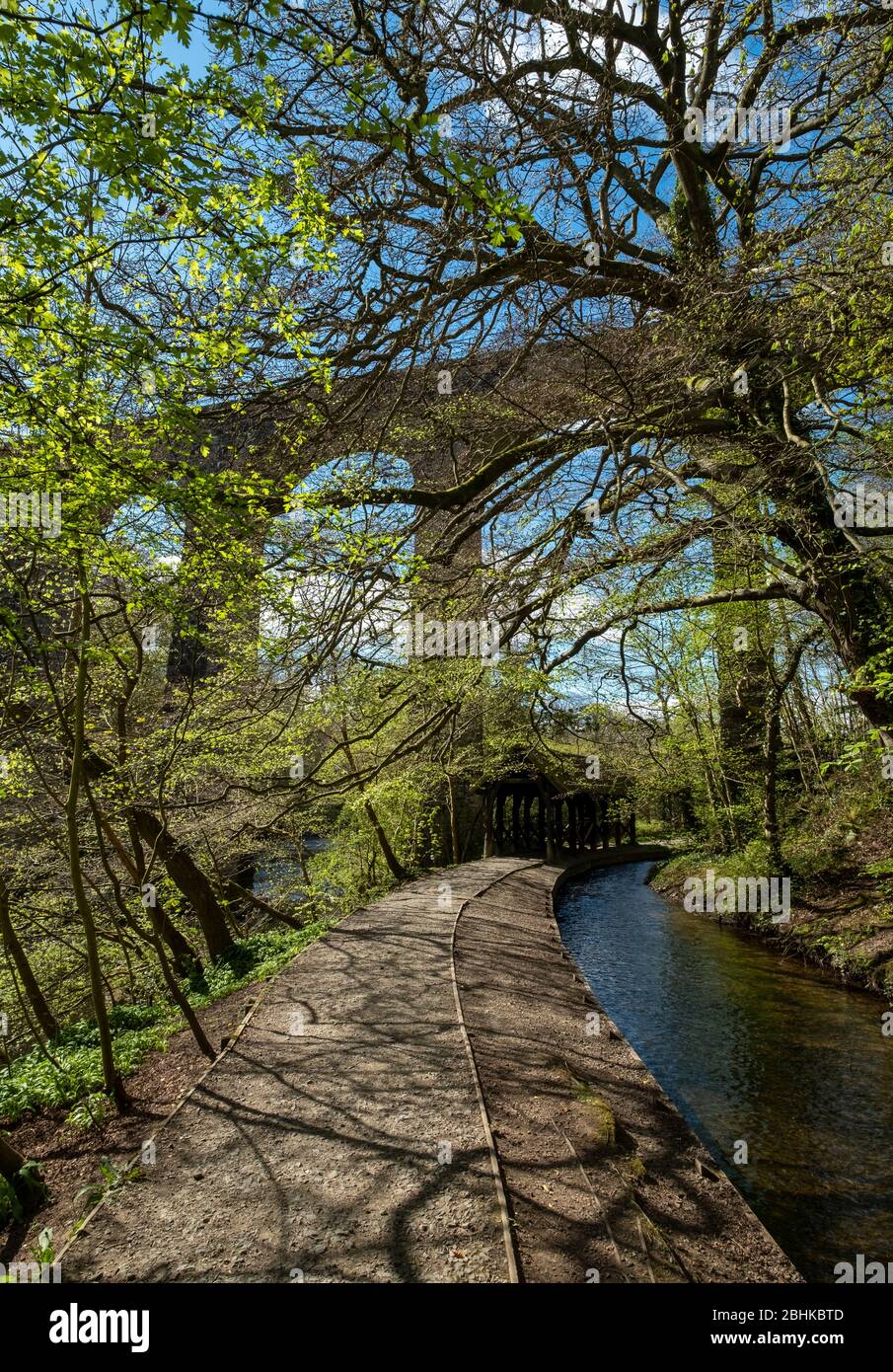 Almond valley viaduct hi-res stock photography and images - Alamy
