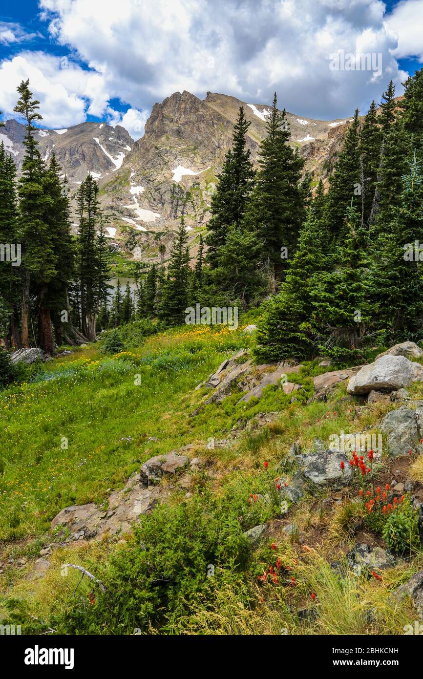 Colorado Landscape Summer