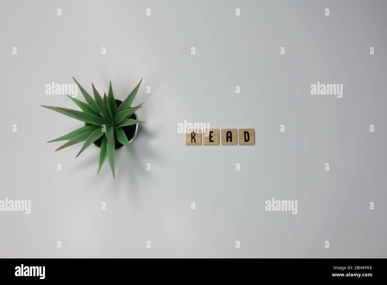 The word Read written in wooden letter tiles on a white background ...