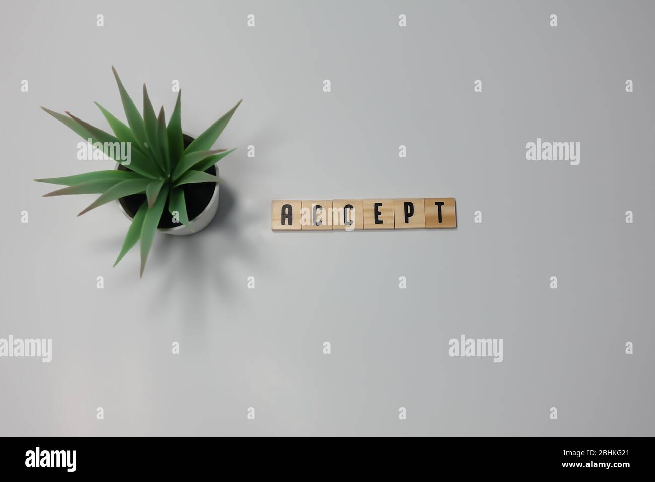 The word Accept written in wooden letter tiles on a white background ...