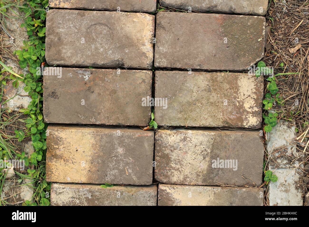 Texture pattern of old paved bricks with green grass around the edges ...
