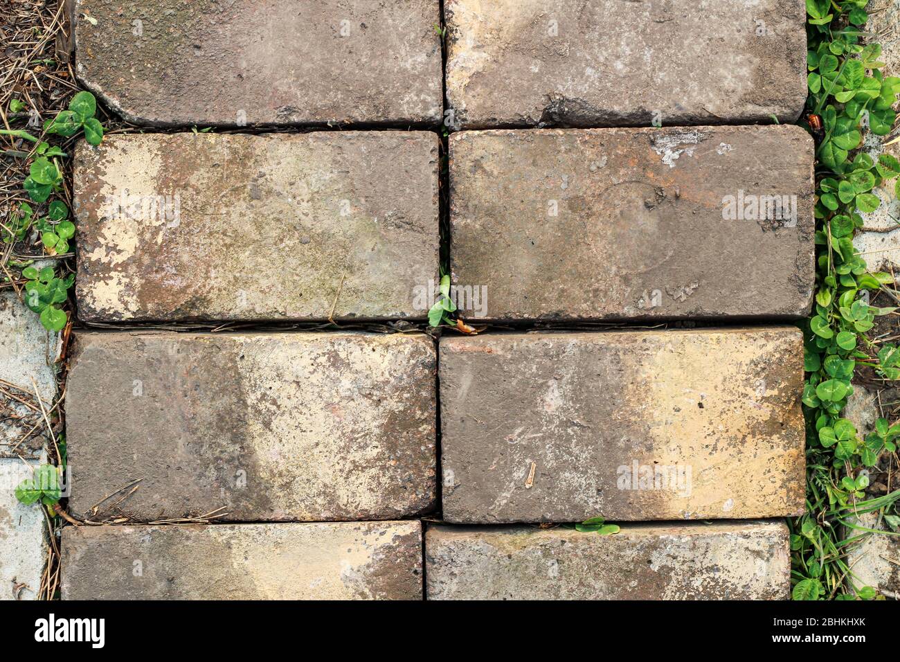 Texture pattern of old paved bricks with green grass around the edges ...