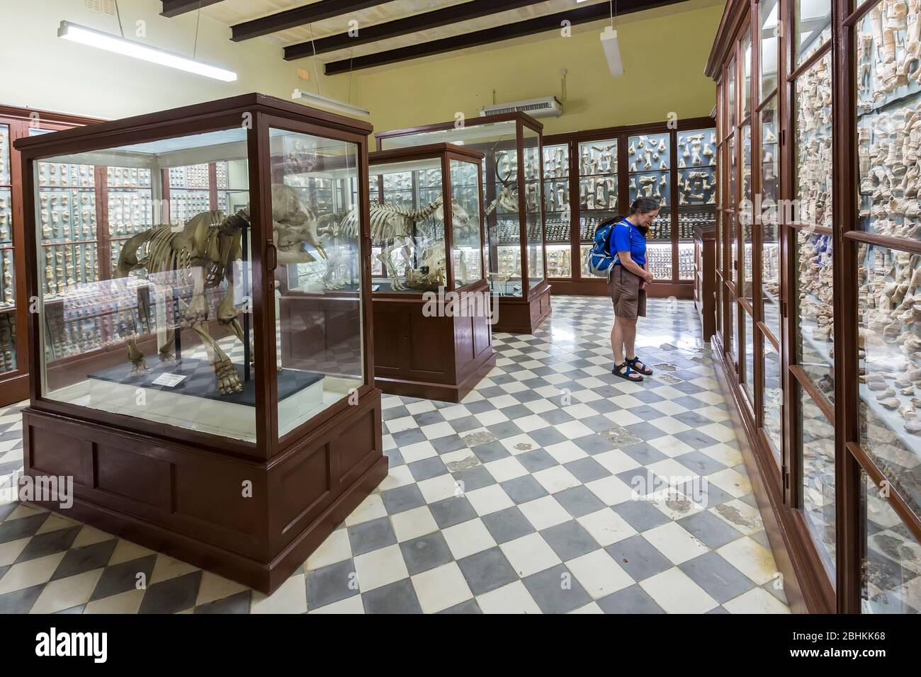 Person in the museum at Ghar Dalam, archeological cave, Malta Stock ...