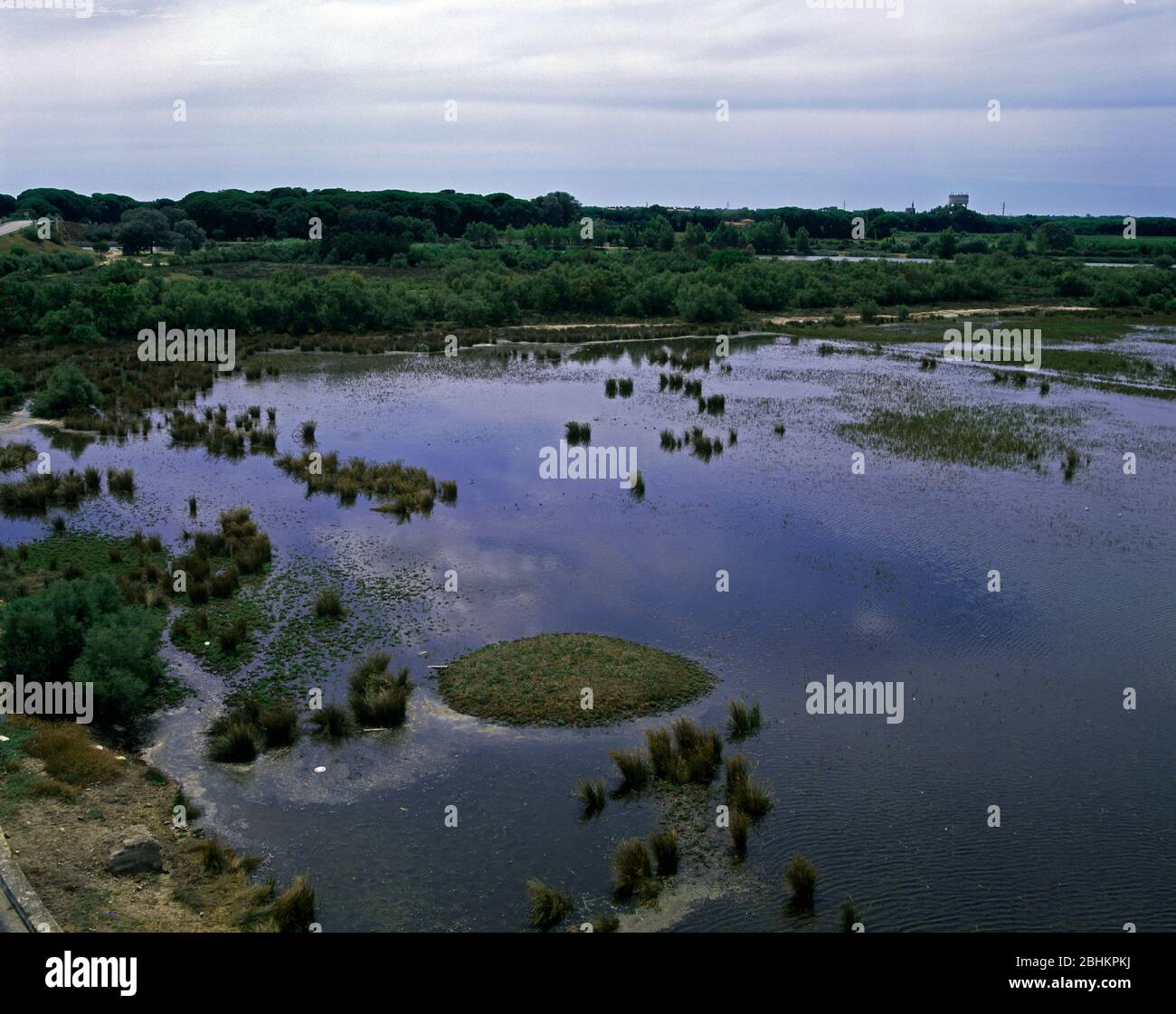 Camargue Provence France Wetlands from Tour Carbonniere Stock Photo - Alamy
