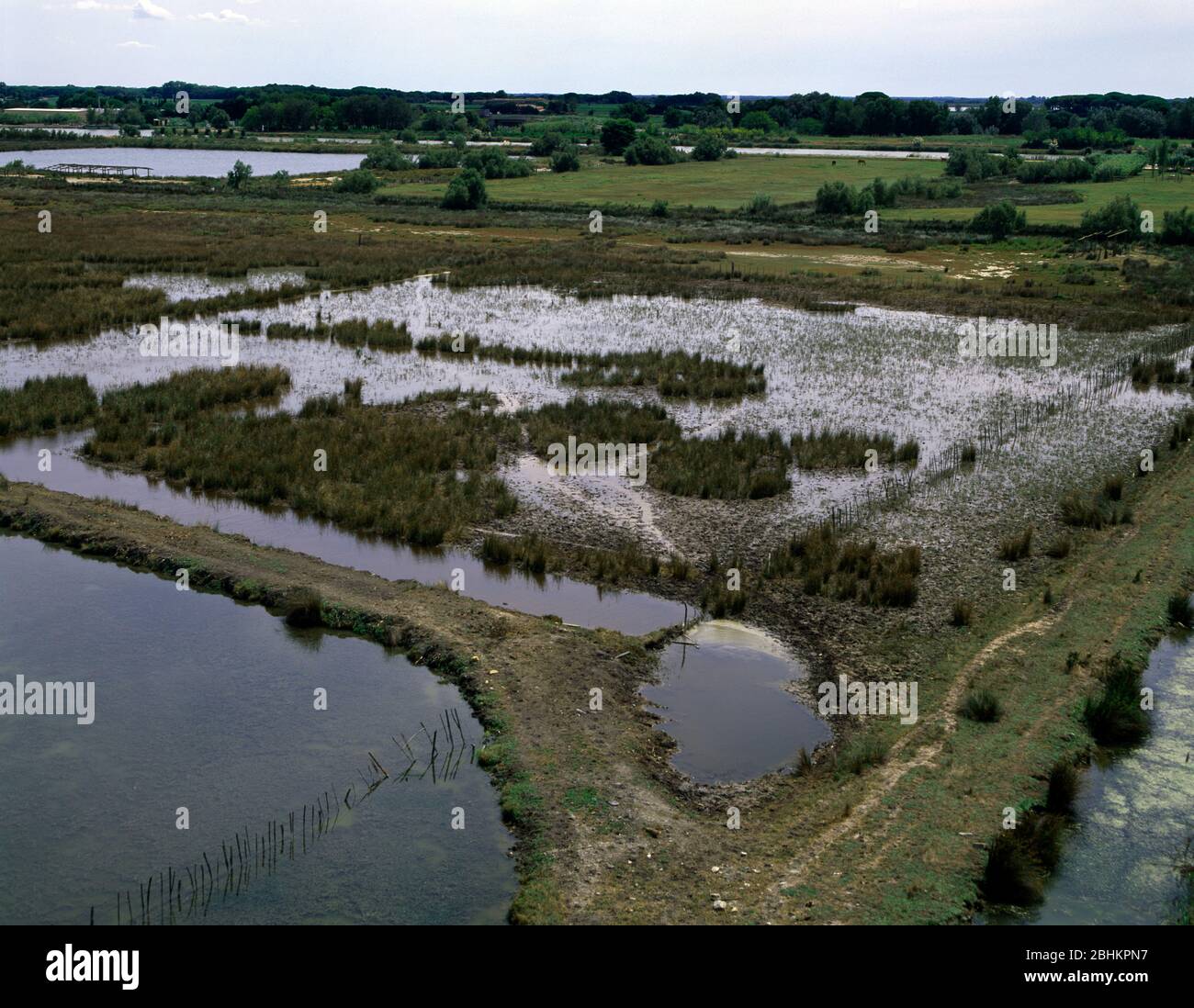 Camargue Provence France Wetlands from Tour Carbonniere Stock Photo - Alamy