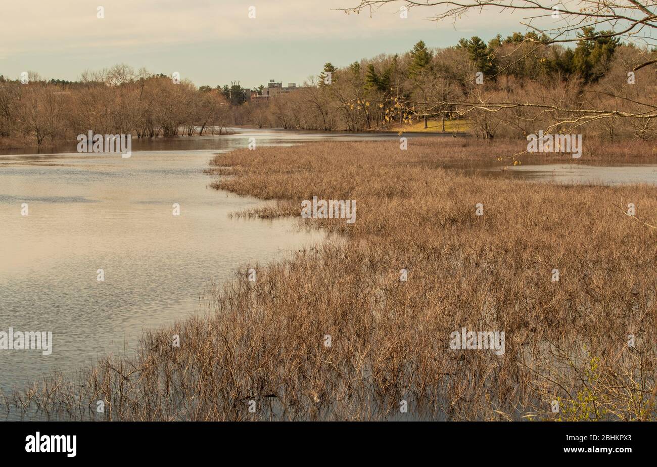 Cedar canoes hi-res stock photography and images - Alamy