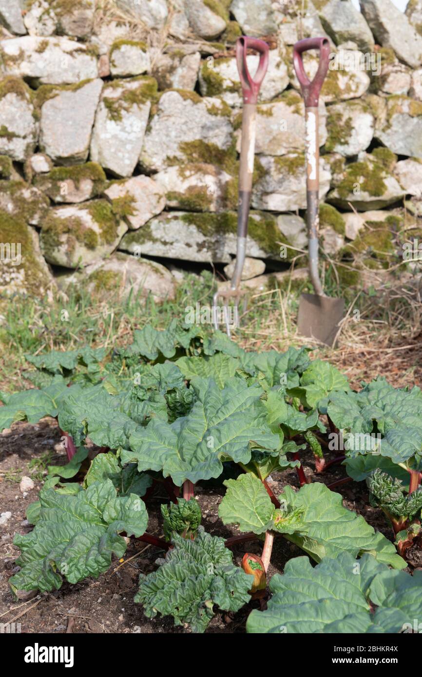 Dry stone wall garden hi-res stock photography and images - Alamy