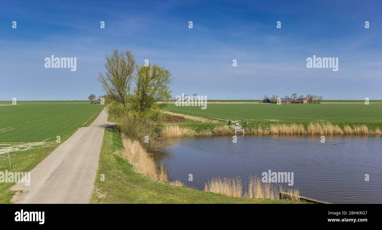 Narrow raod through the flat landscape of Groningen, Netherlands Stock ...