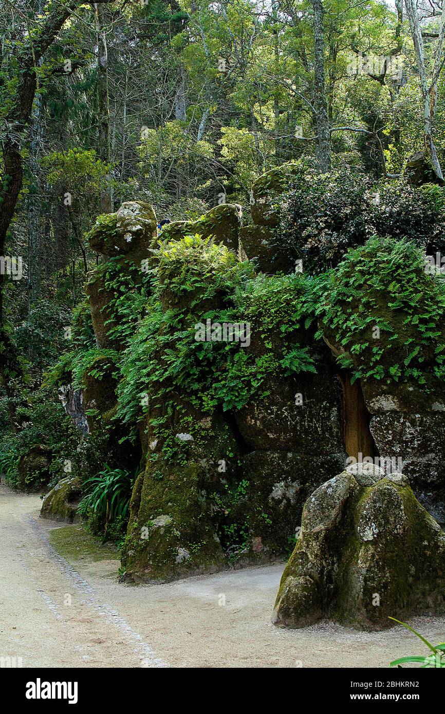 Garden path moss hi-res stock photography and images - Alamy