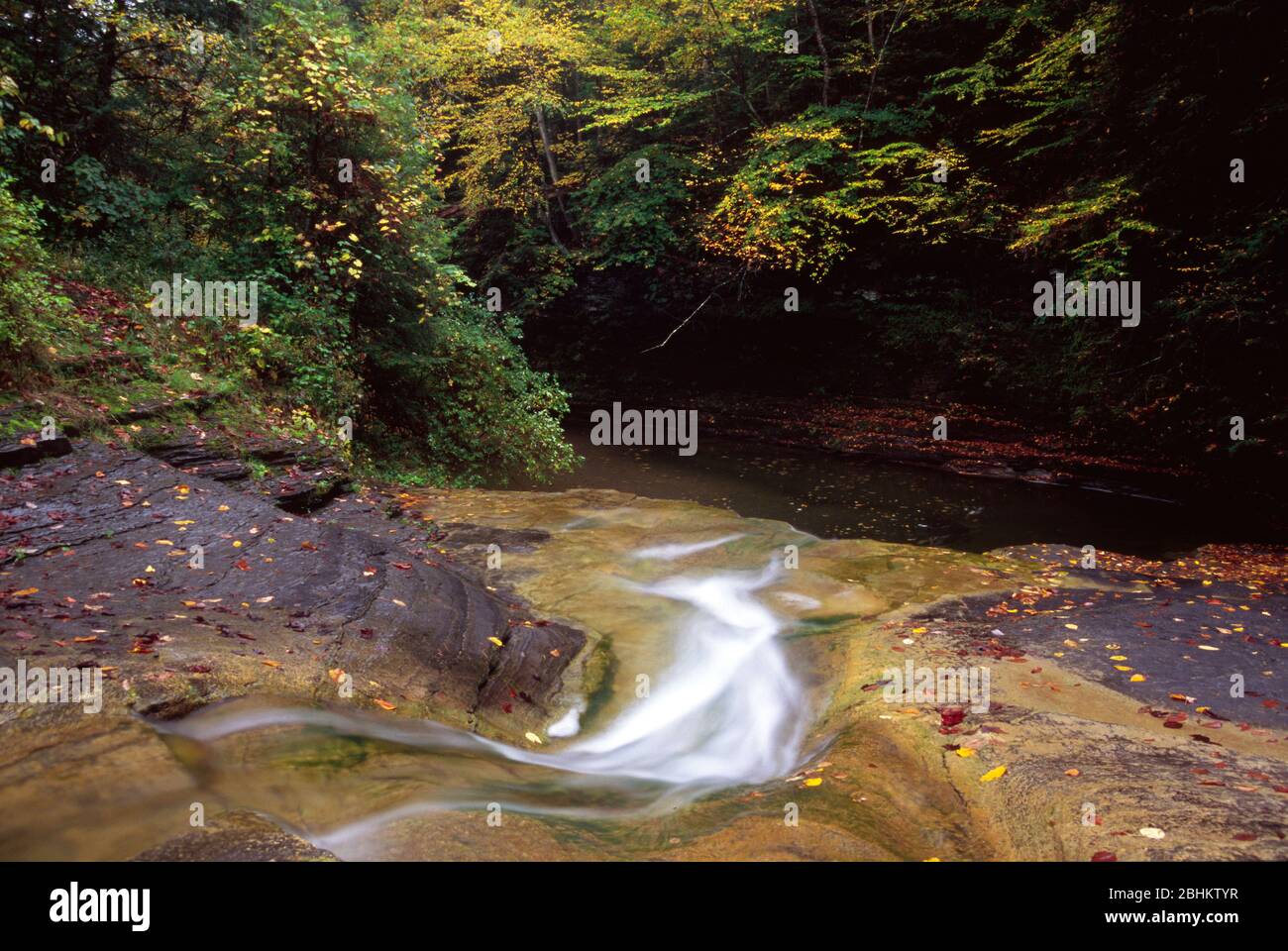 Cascade on Enfield Creek, Robert H Treman State Park, New York Stock ...