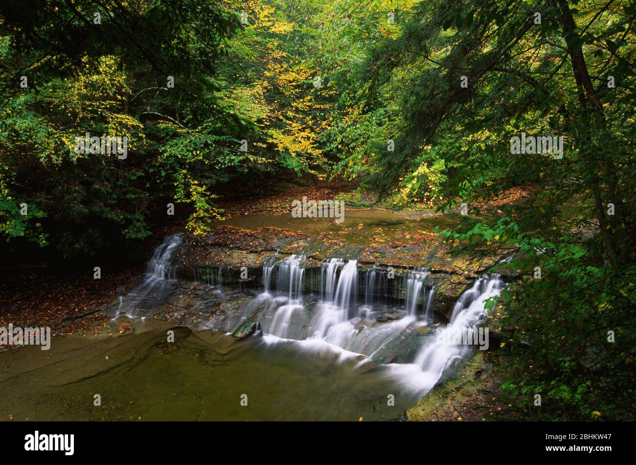 Cascade on Enfield Creek, Robert H Treman State Park, New York Stock ...