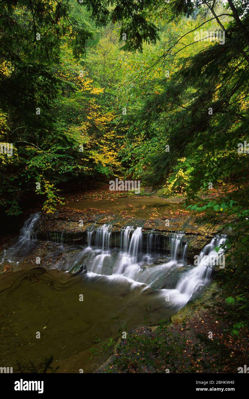Cascade on Enfield Creek, Robert H Treman State Park, New York Stock ...