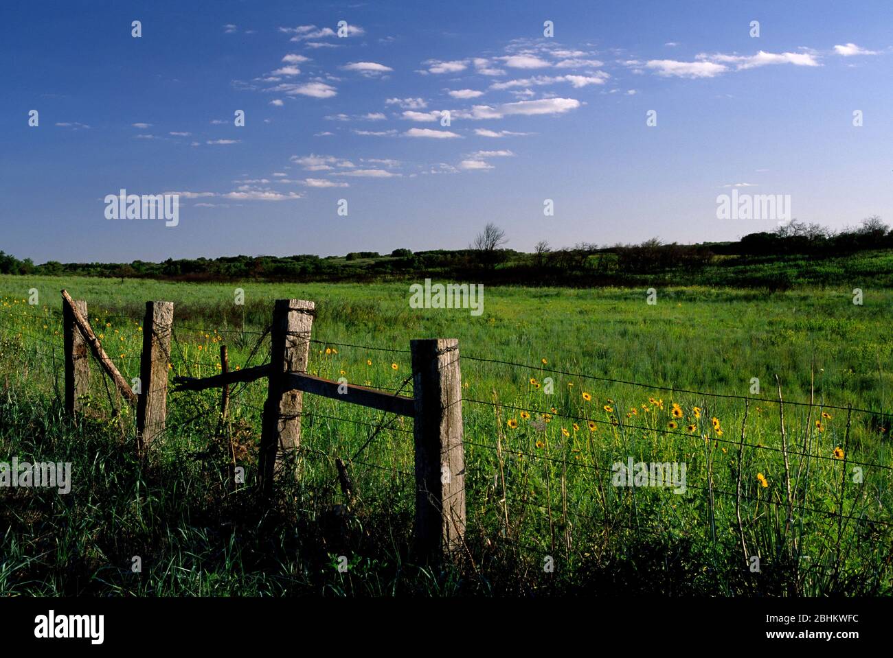 Roger mills county hi-res stock photography and images - Alamy