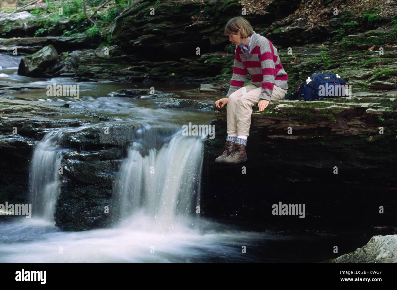 Double Run, World's End State Park, Pennsylvania Stock Photo - Alamy