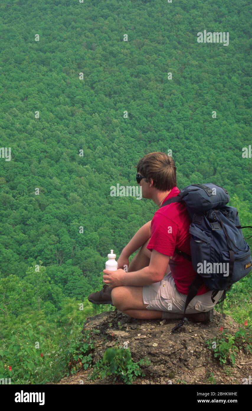 Golden eagle nest hi-res stock photography and images - Alamy