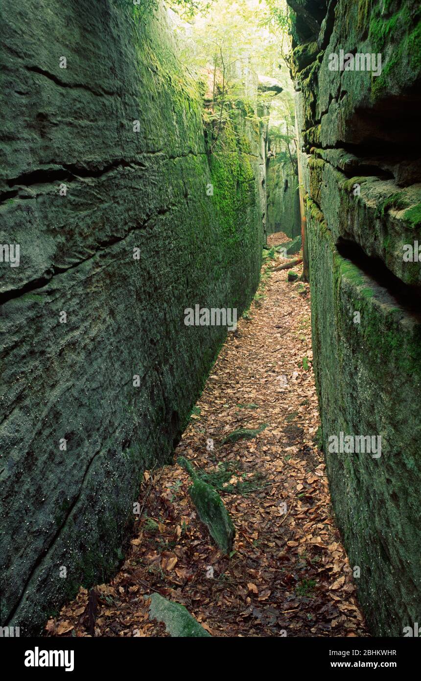 Outcrop passage on Fred Woods Trail, Elk State Forest, Pennsylvania ...