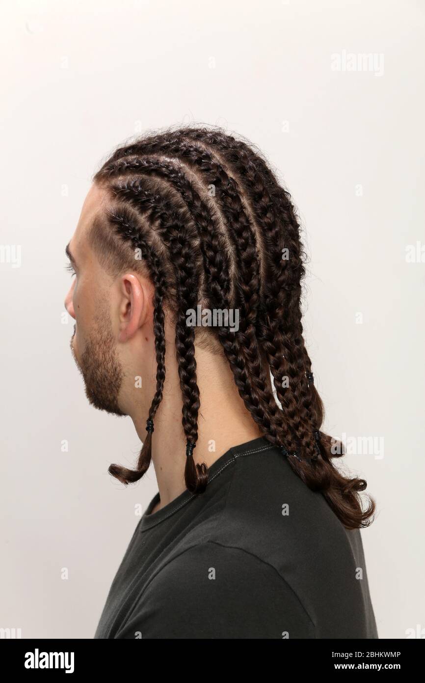 Stylish male model with beard and afro plaits posing in studio. Trends ...